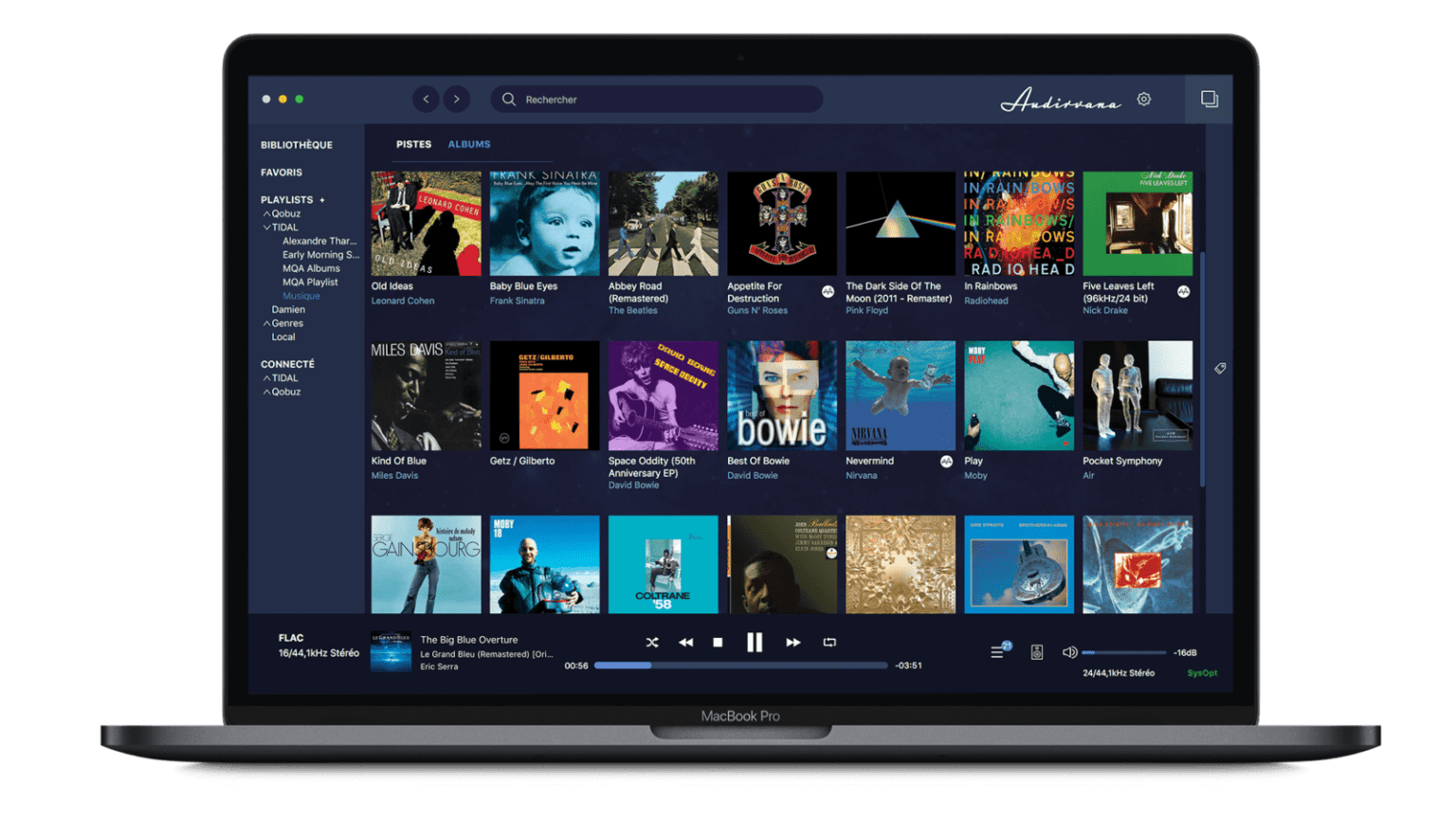 Audirvana for Mac 最新中文版下载 – 高品质无损音乐HIFI播放器-Mac大学