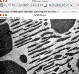 ImageJ for Mac 最新版下载 – 科研图像工具-Mac大学